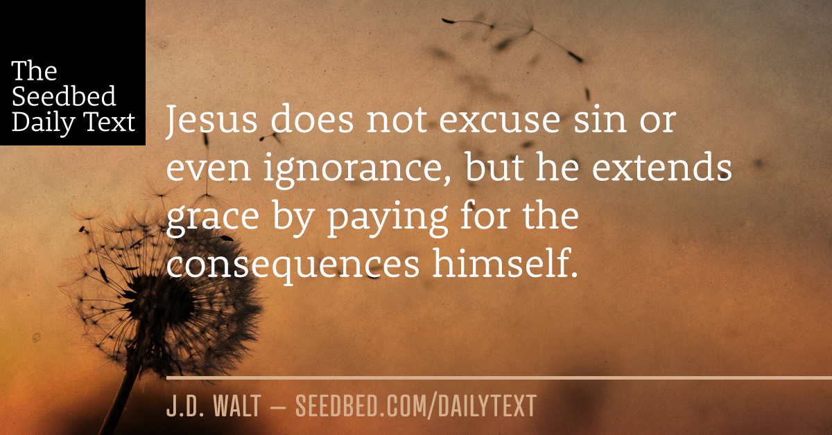 Jesus Does Not Excuse Ignorance, He Suffers the Consequences of It ...