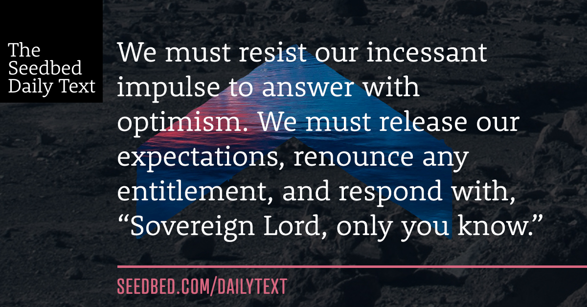 The Big Question and the Bigger Answer - Seedbed