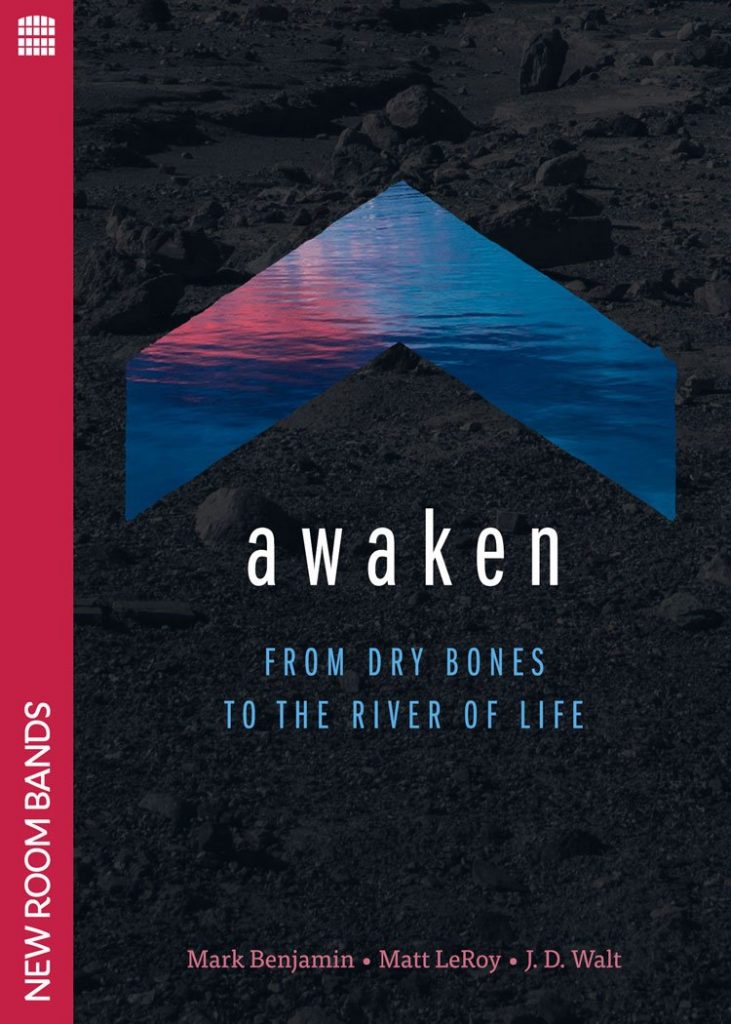 The Journey of Awakening - Seedbed