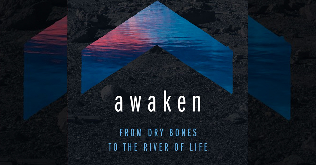 The Journey of Awakening - Seedbed