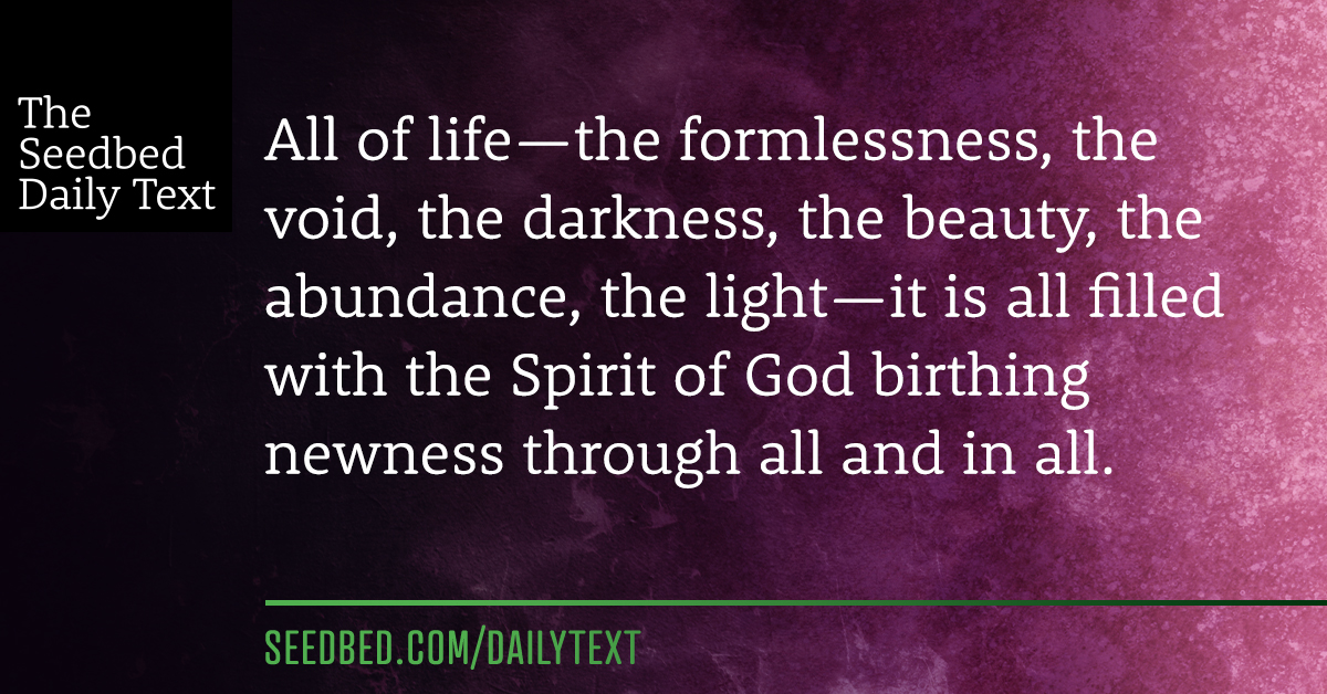 God Speaks in the Void - Seedbed