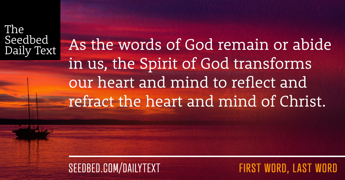 The Word of God and the Will of God - Seedbed