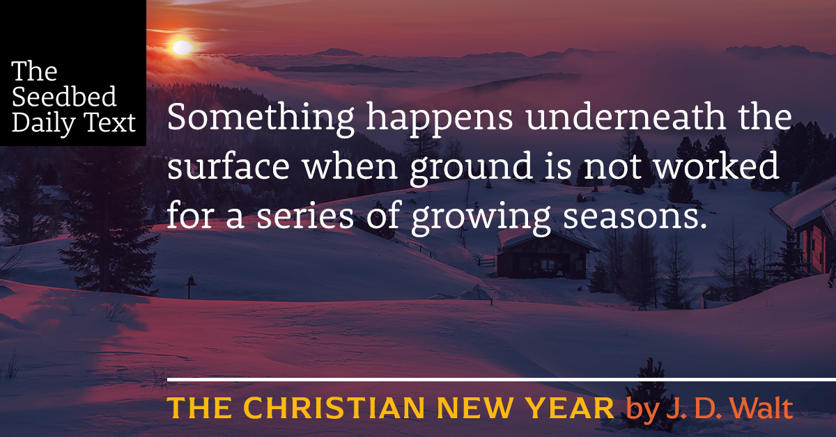 Break Up Your Fallow Ground - Seedbed