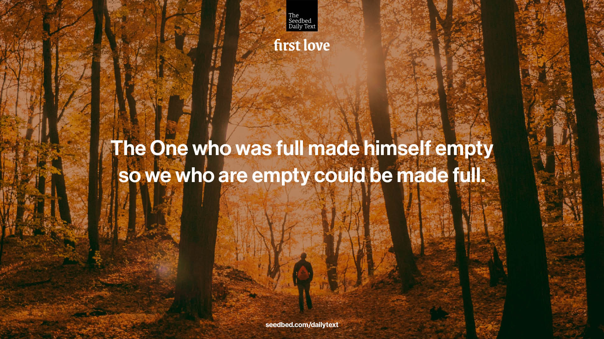 What To Do When Your Fullness Is Emptiness - Seedbed